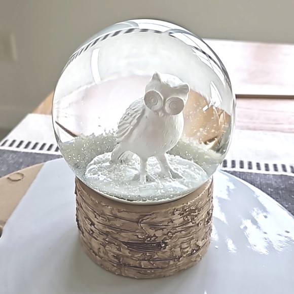 West Elm | Accents | West Elm White Snow Owl Snow Globe | Poshmark
